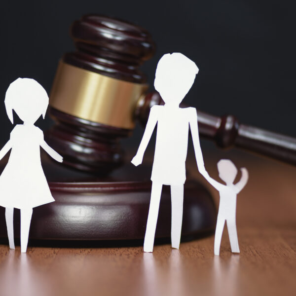 The Non-Custodial Parent’s Rights During the School Year